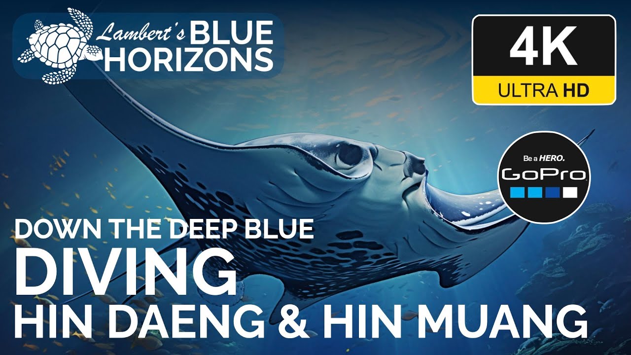 4K Down the Deep Blue - Hin Daeng & Hin Muang - Diving Thailand - YouTube