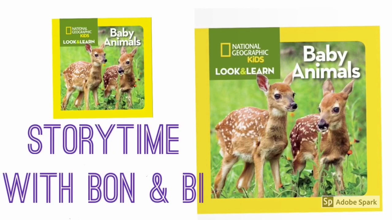 National Geographic kid look and learn - Baby animals - YouTube