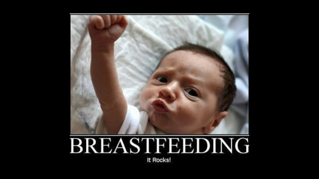 pantera memes, thrash metal, heavy metal memes, metalmemes, motorhead ...