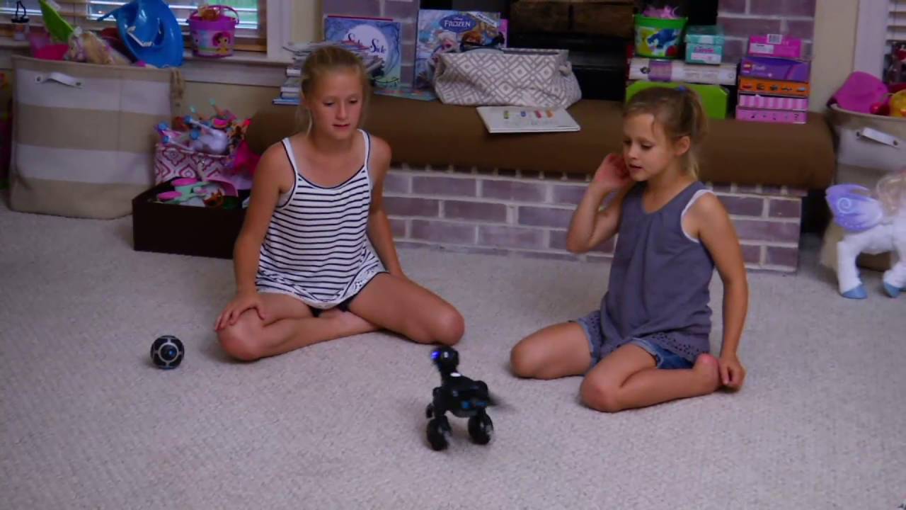 Miposaur Robotic Dinosaur w/ Charge Pack By: WowWee on QVC - YouTube