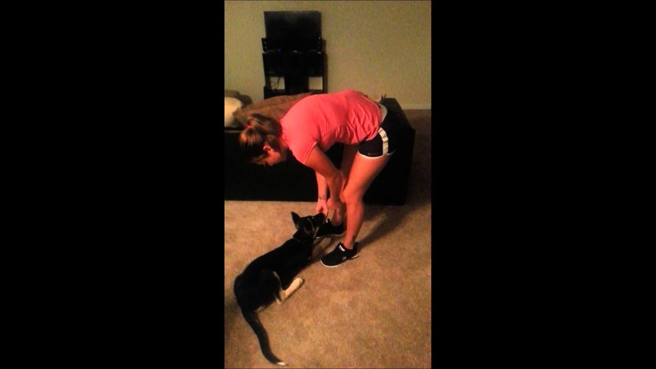 Low crawl attempt#1 - YouTube