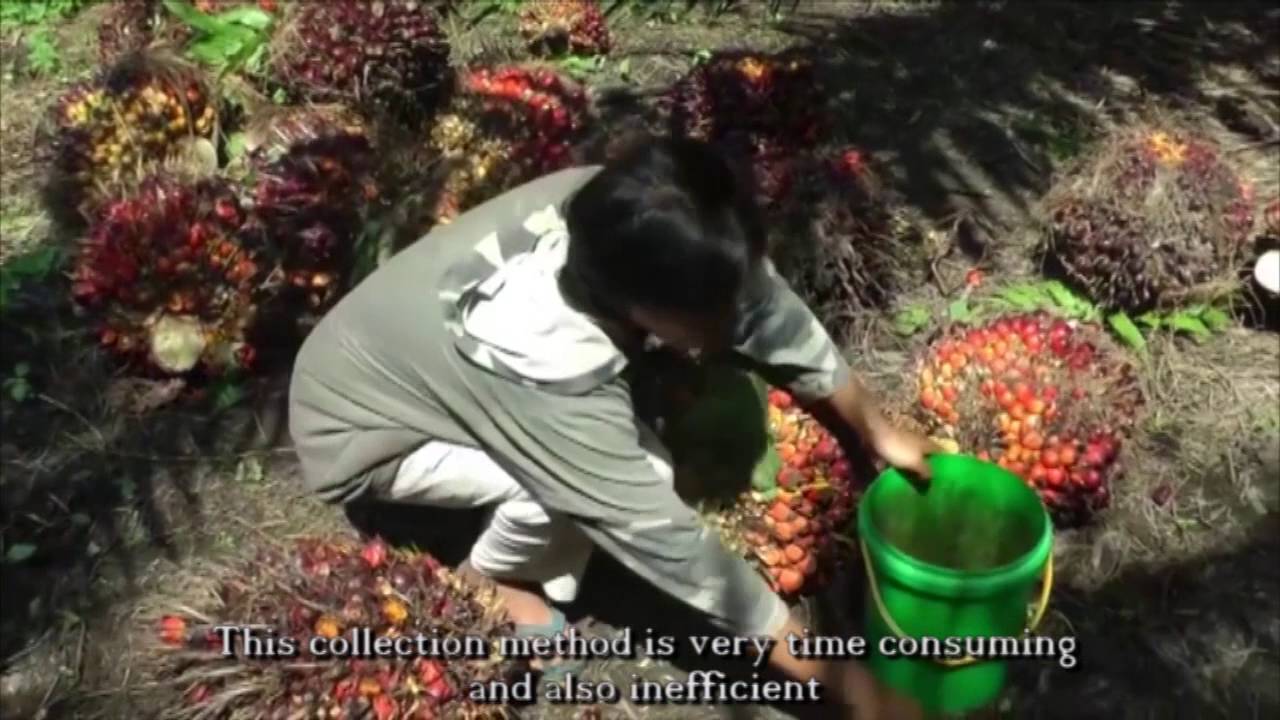 MY314 - Autonomous Oil Palm Loose Fruits Collector - YouTube