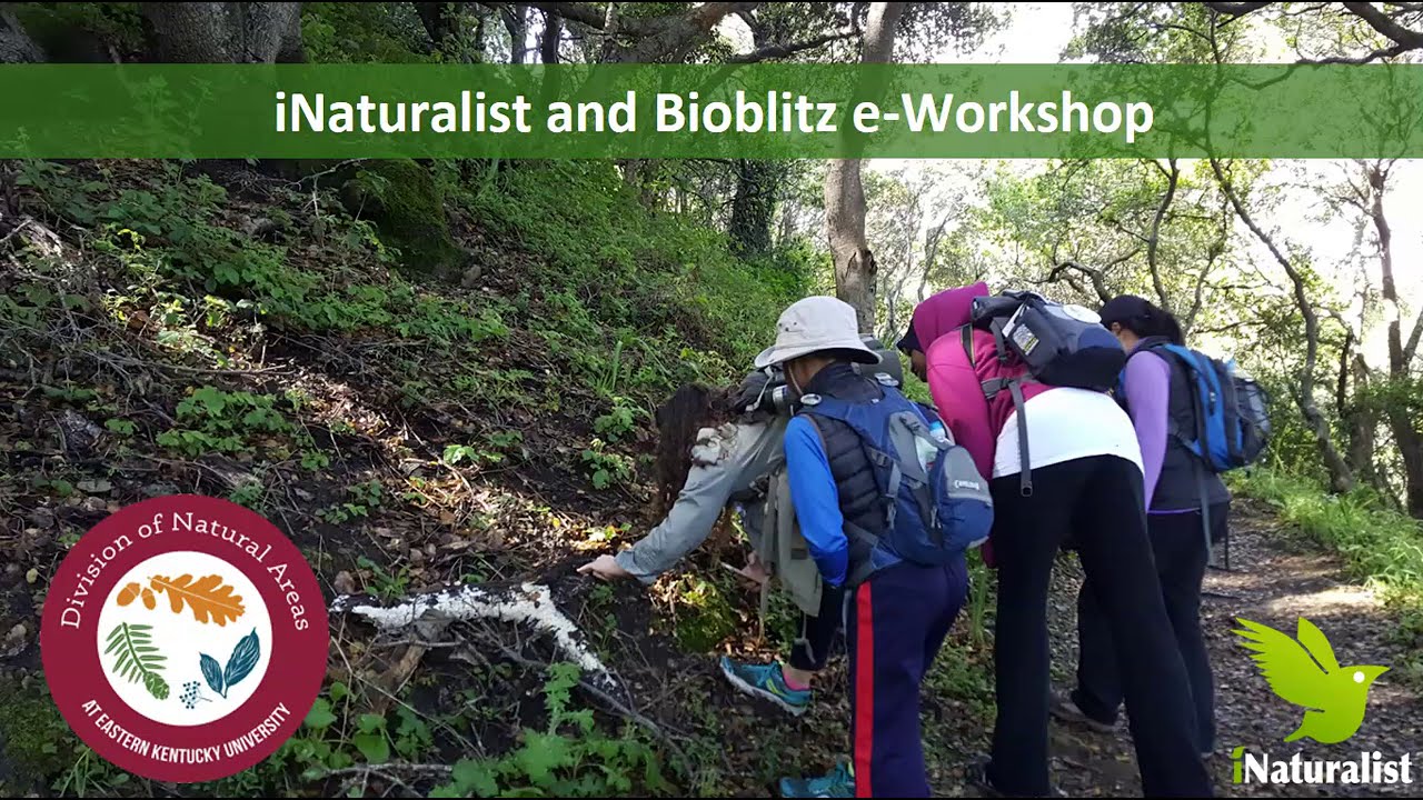 iNaturalist and Bioblitz e-Workshop - YouTube