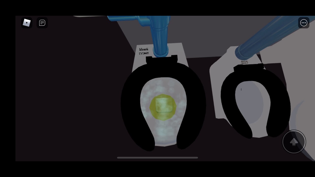 The LONGEST flushing toilet in all of Roblox - YouTube