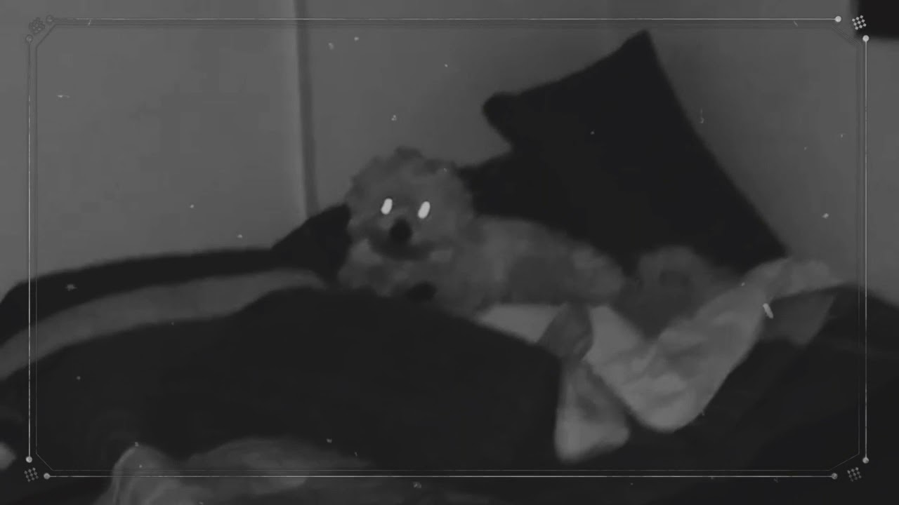 Paranormal Activity Rip Off Official Trailer 2019 - YouTube