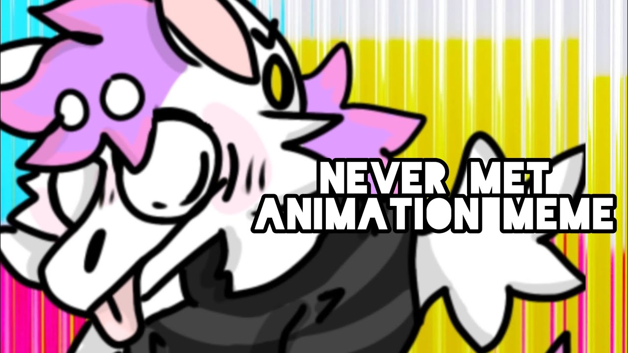 Never Met Animation Meme-flipaclip+- - YouTube