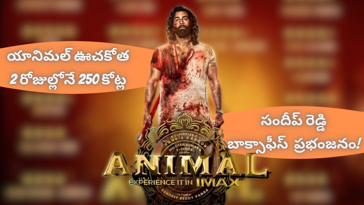 Wildly Successful: Animal Movie 2-Day Collection Revealed!" | 2-రోజుల ...