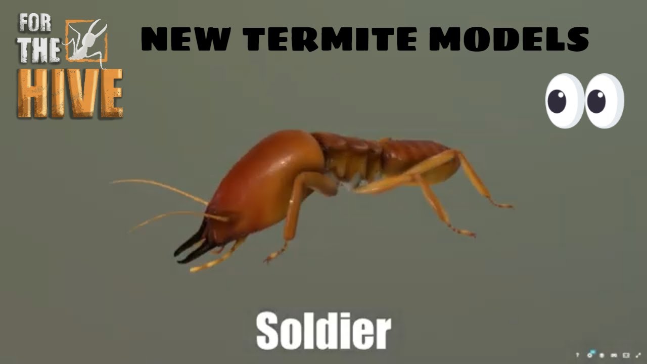 For The Hive Game: Termite Life Cycle Models - YouTube