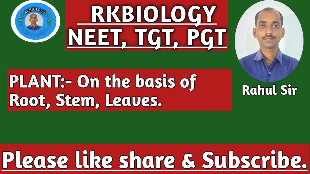 Plant On the basis of Root,Stem, Leaves. - YouTube