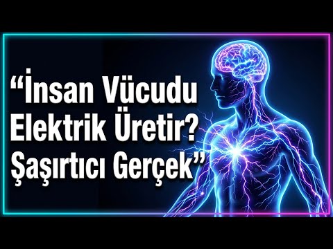 İnsan Vücudu Neden Elektrik Üretir? Şaşırtıcı Gerçek