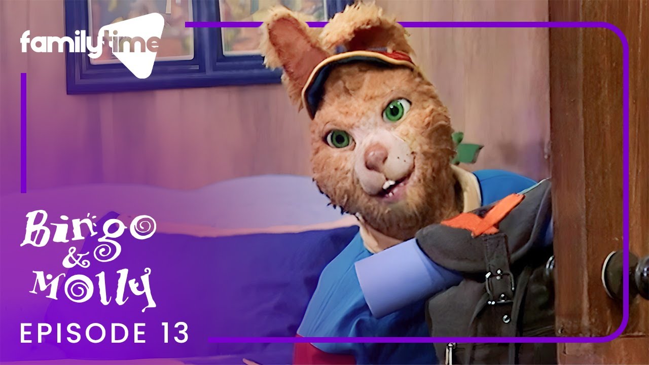 Bingo & Molly | Ranger Big Bunny | Episode 13 - YouTube
