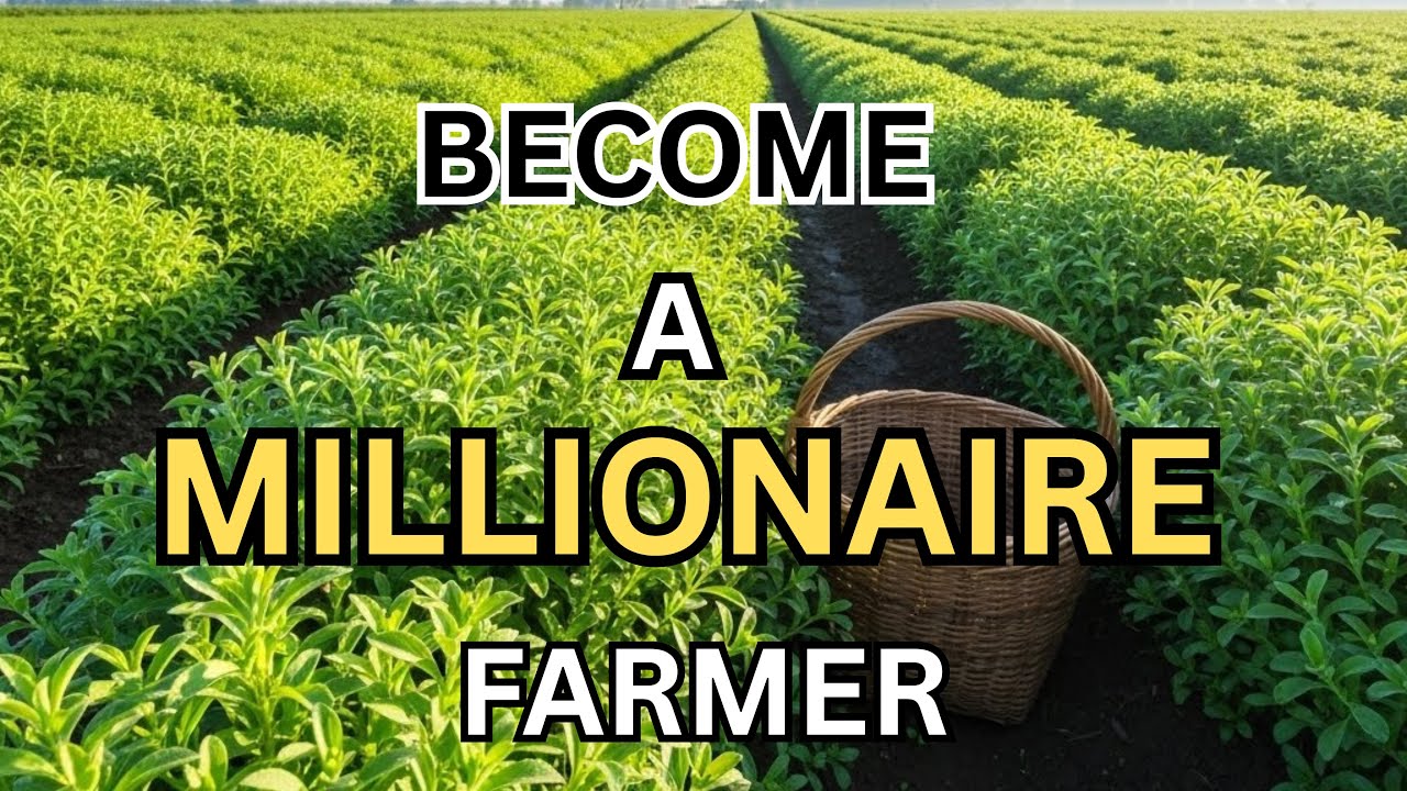 6 High Profit Crops Turning Ordinary Farmers Into Millionaires - YouTube