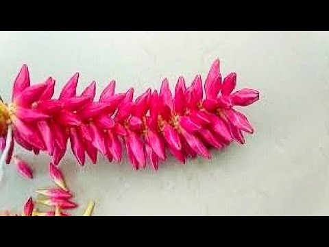 Veni with Arali poo|How to make Veni for bridal makeup|Garland with ...