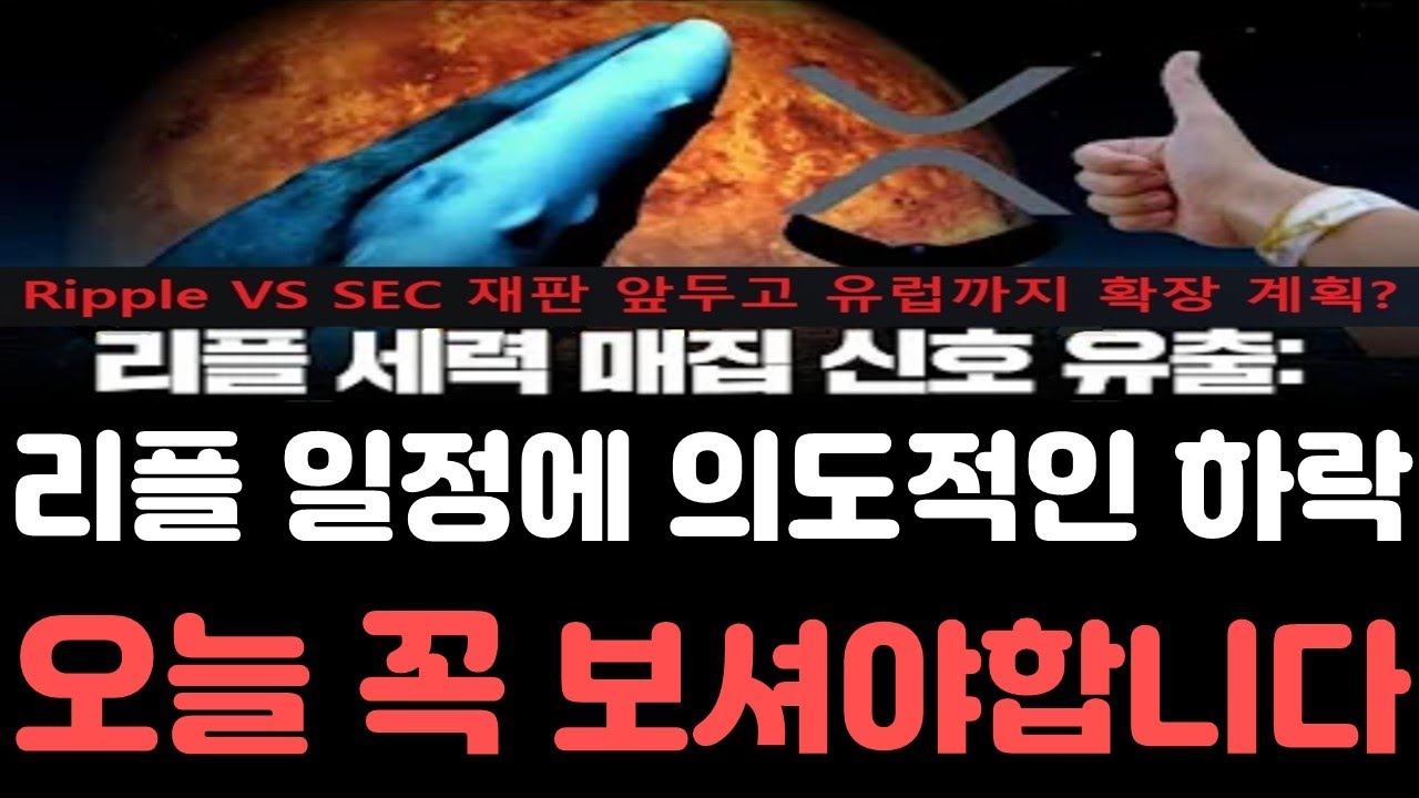 리플전망 리플 Sec 재판 소송 앞두고 의도적인 하락을 계획하고 실행중이였다 오늘 영상은 꼭 보셔야합니다 리플전망 리플호재 리플급등 리플코인 리플소송
