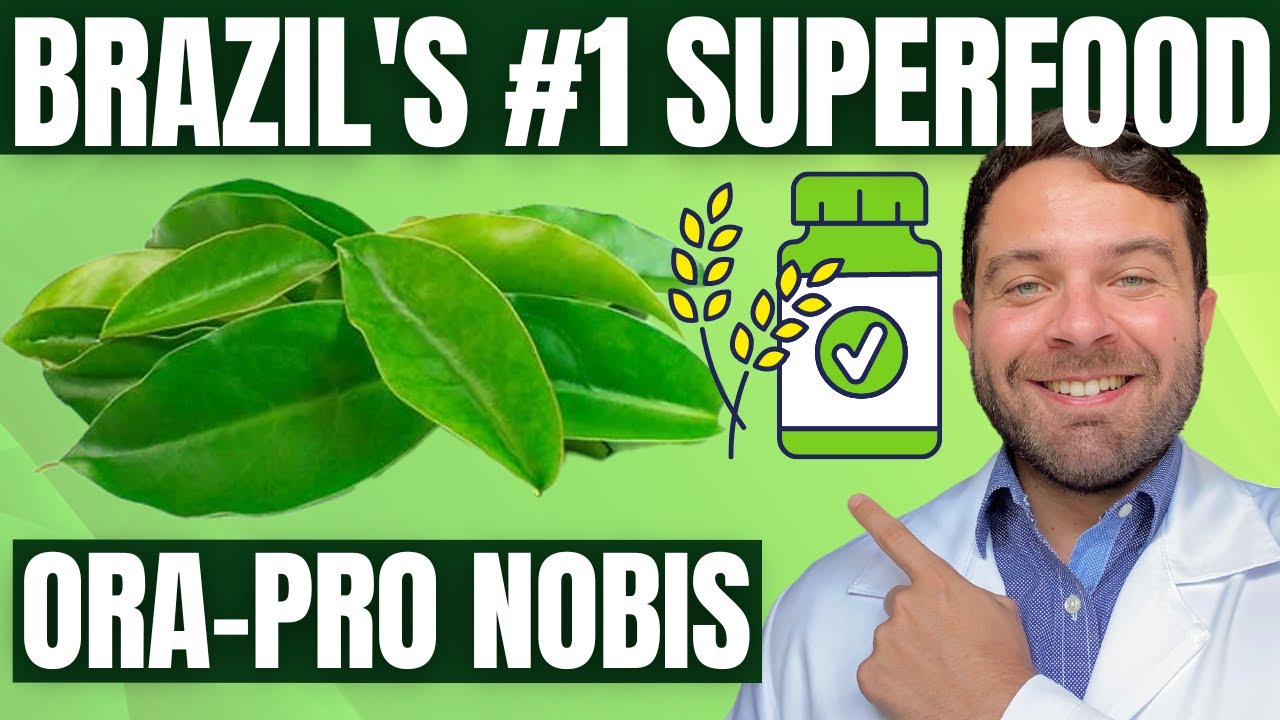 ORA PRO NOBIS, The Ultimate GUT HEALTH's BEST FRIEND | The Brazilian ...