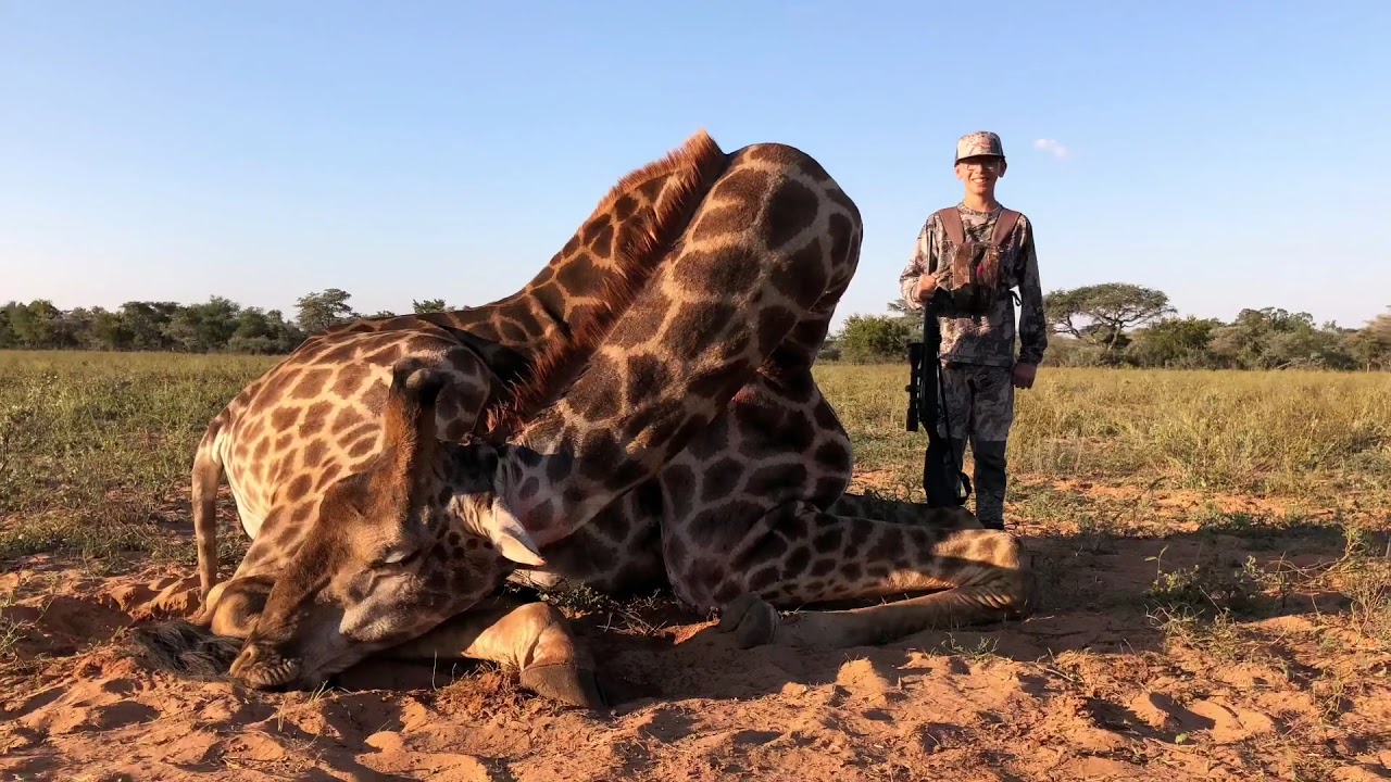 Ryker’s giraffe hunt in South Africa - YouTube