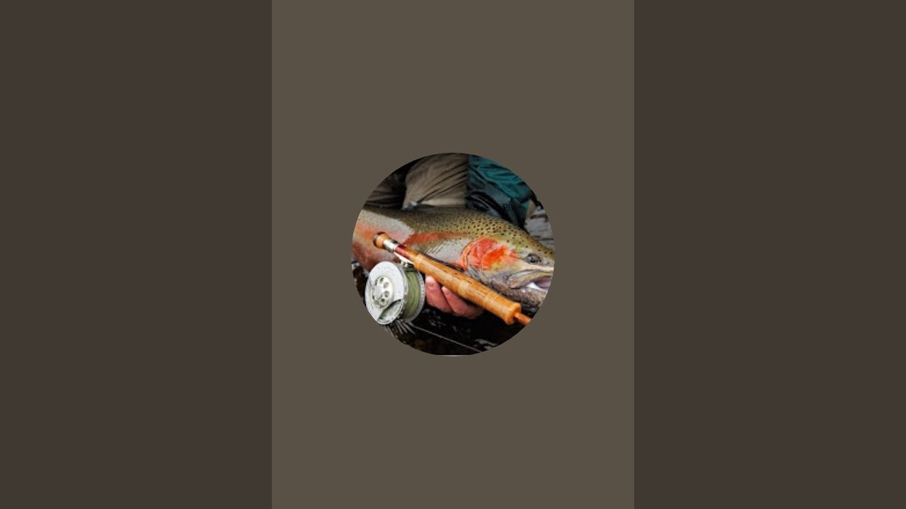 Traseu Oarja Ștefănești Argeș 22-06-2025 Live - YouTube