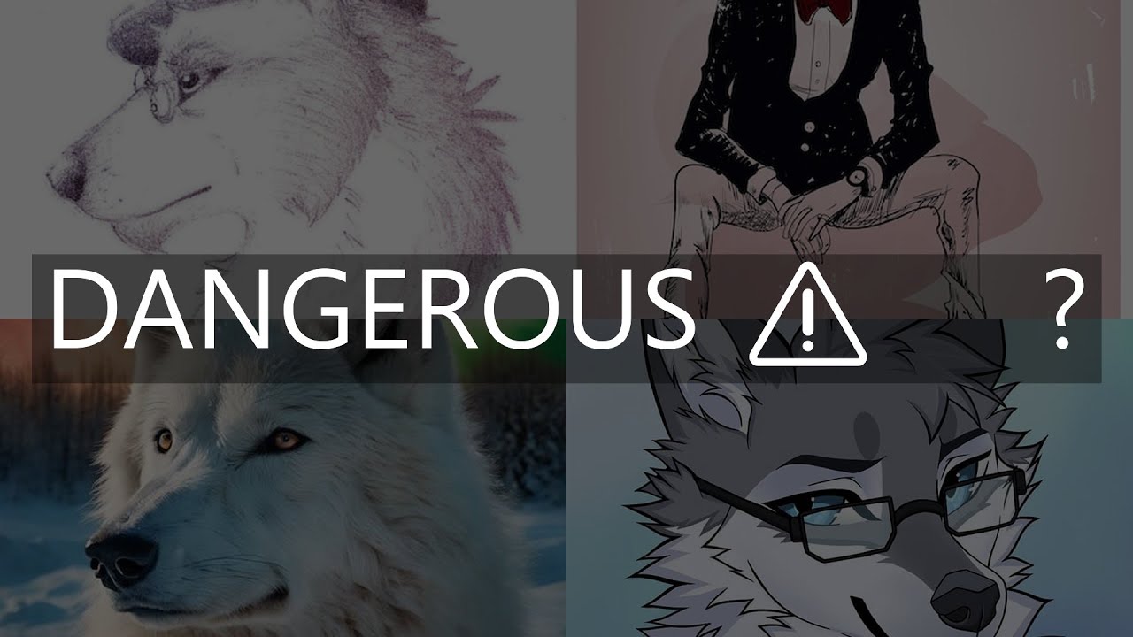 the smart wolf de review is the smart wolf de legit or scam - YouTube