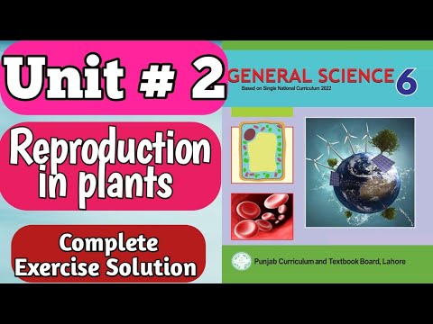 6th Class General Science Chapter 2 - Exercise Question Answer - Class ...