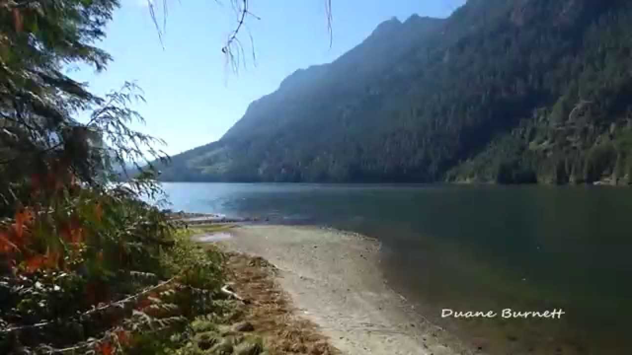 Salmon Spawning Narrows Inlet Sechelt Sunshine Coast BC - YouTube