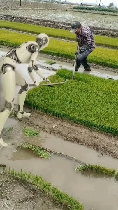 #futuretech #roboticapplications #robotics #roboticinnovation #artificialintelligence # ...