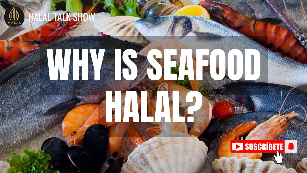 Why Is Seafood Halal? | Islamic Perspective on Halal Seafood 🦐 | Halal ...