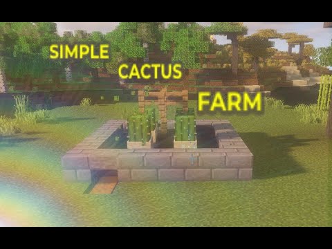 SIMPLE CACTUS FARM MINECRAFT 1.19 - YouTube