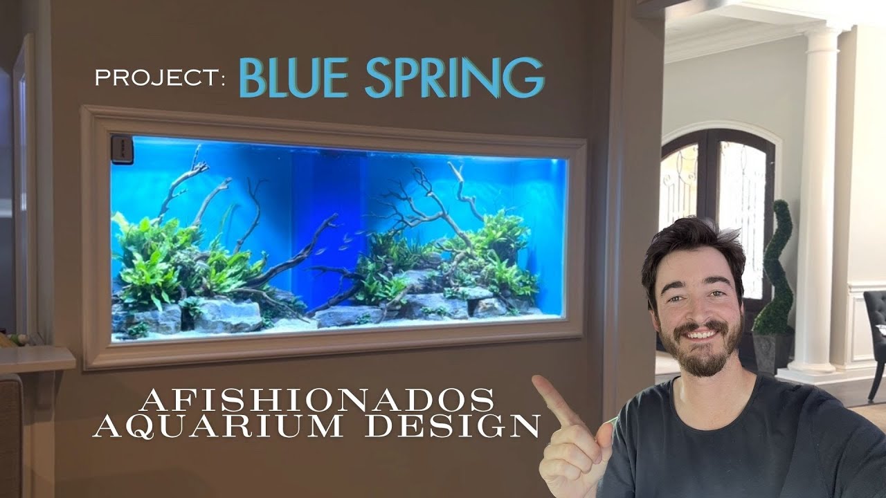 Project: Blue Spring Aquarium - YouTube
