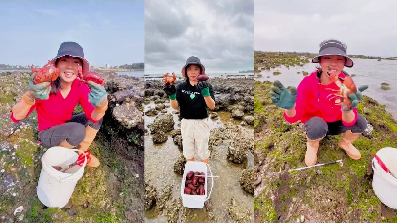 The world of beach crabs Crab catching video #crab #fishing #catching # ...