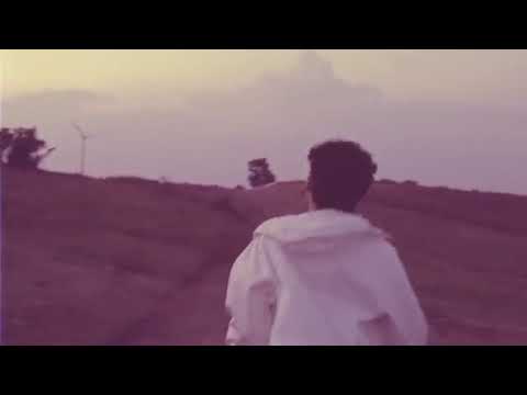 Edis feat. Emina - Güzelliğine