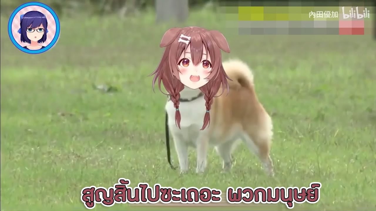 Inugami Korone กับการช่วยเหลือเจ้านาย [Vtuberแปลไทย] - YouTube
