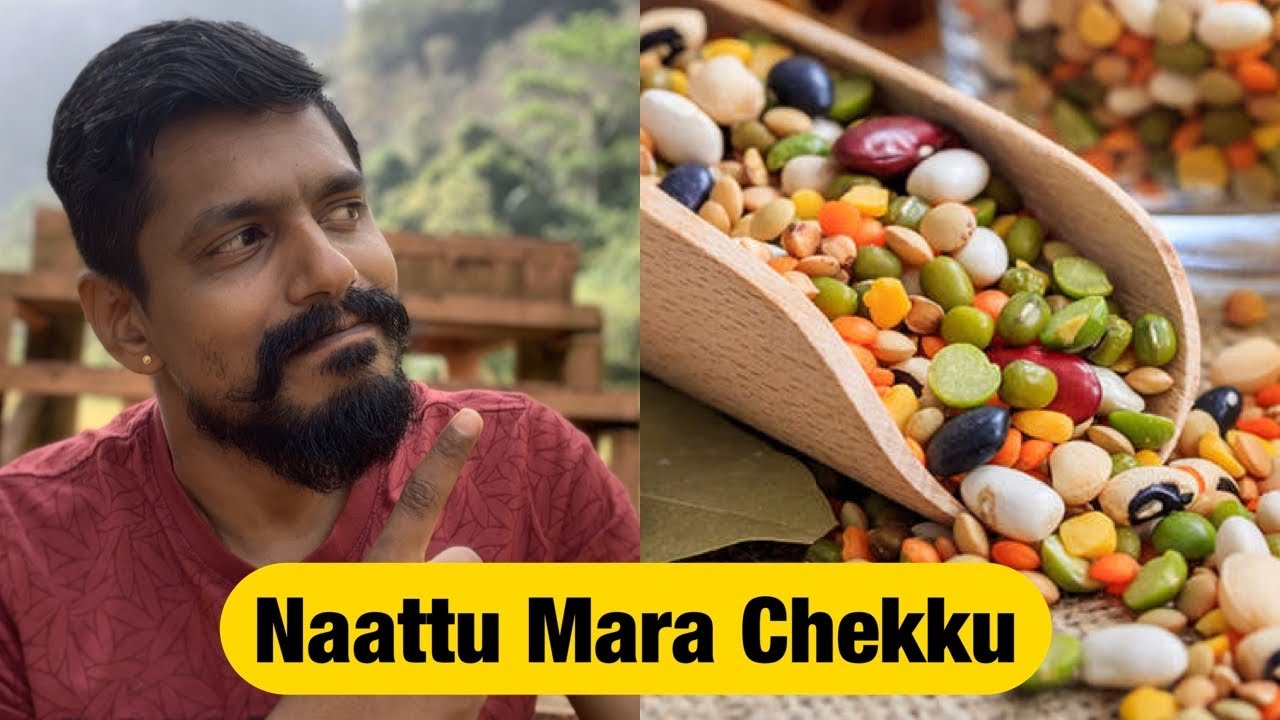 Naattu Mara Chekku | Wood Press Oil | Fast Food Effects | Ammani ...