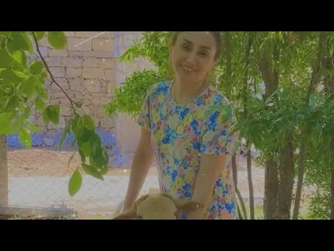 Elnarə Abdullayeva Şamaxıda Qurban Kəsdirdi!