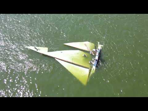 Island Bird Tipping 2022 8 27 - YouTube