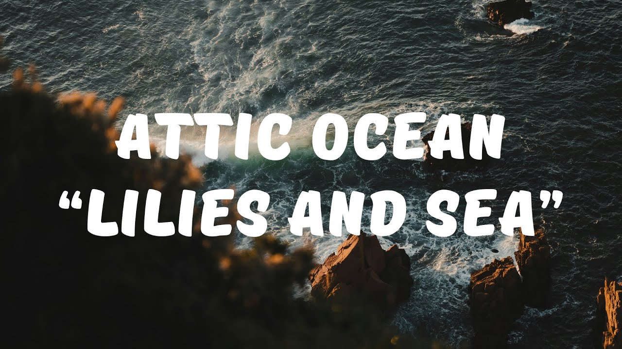 Attic Ocean - Lilies and Sea (Lyrics / Lyrics Video) - YouTube