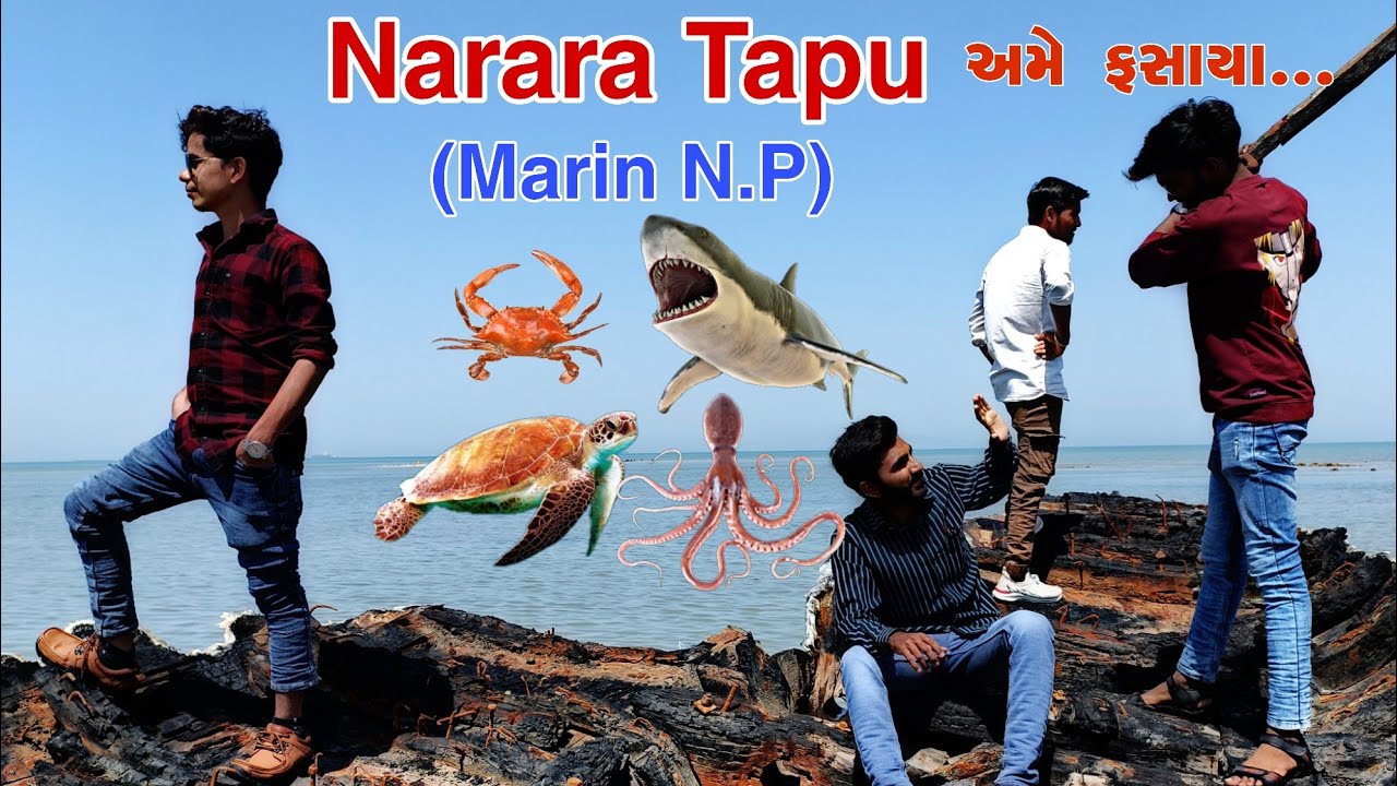 Narara Tapu Jamanagar || Marin National Park Jamnagar || Jamnagar - YouTube
