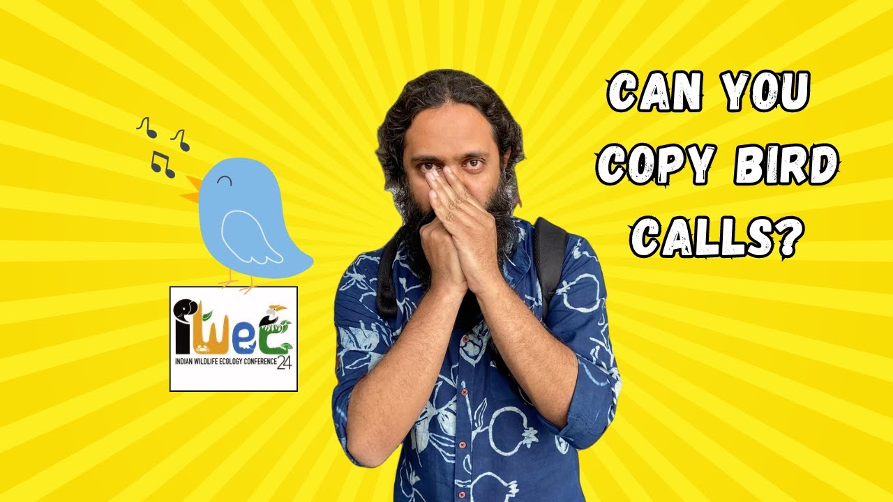 Can you copy bird calls? - YouTube