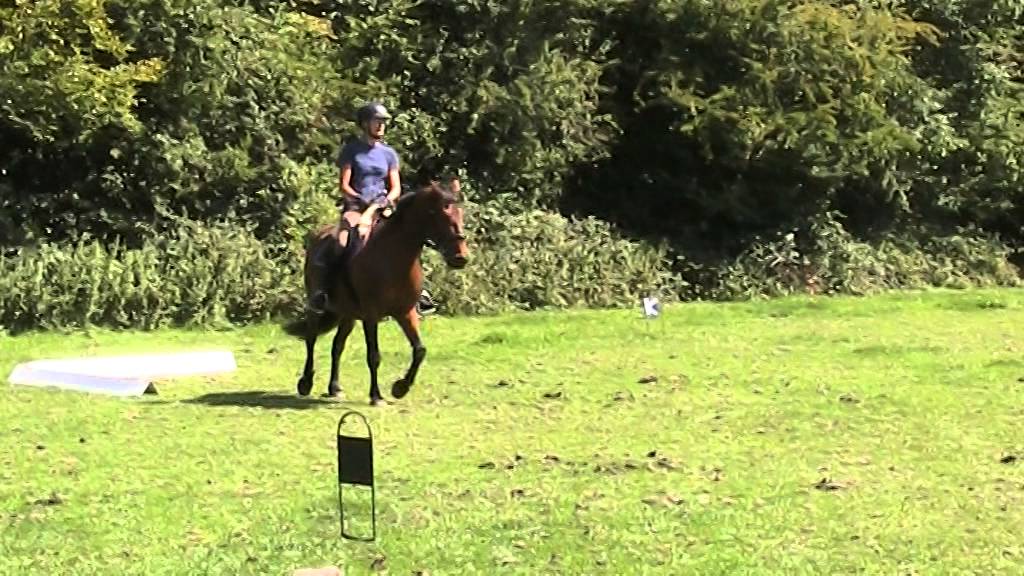 Le Trec Checkendon Novice Obedience Test - YouTube