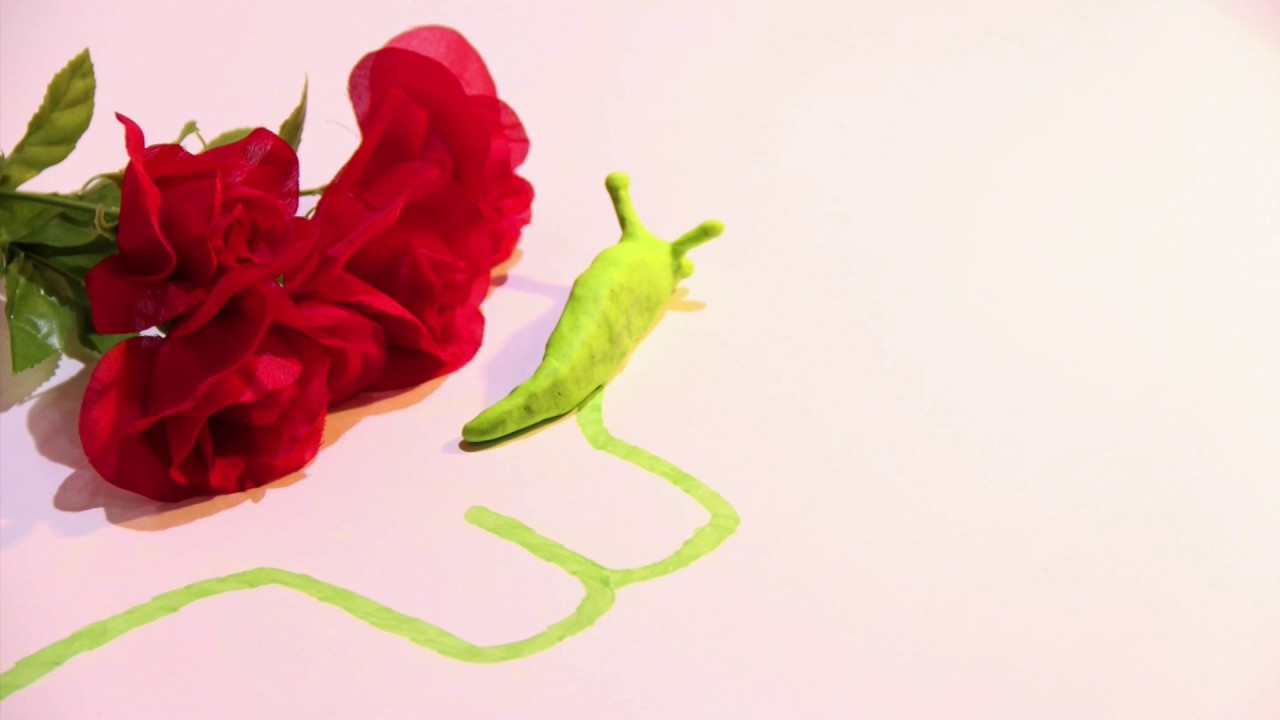 Slow is Beautiful - YouTube