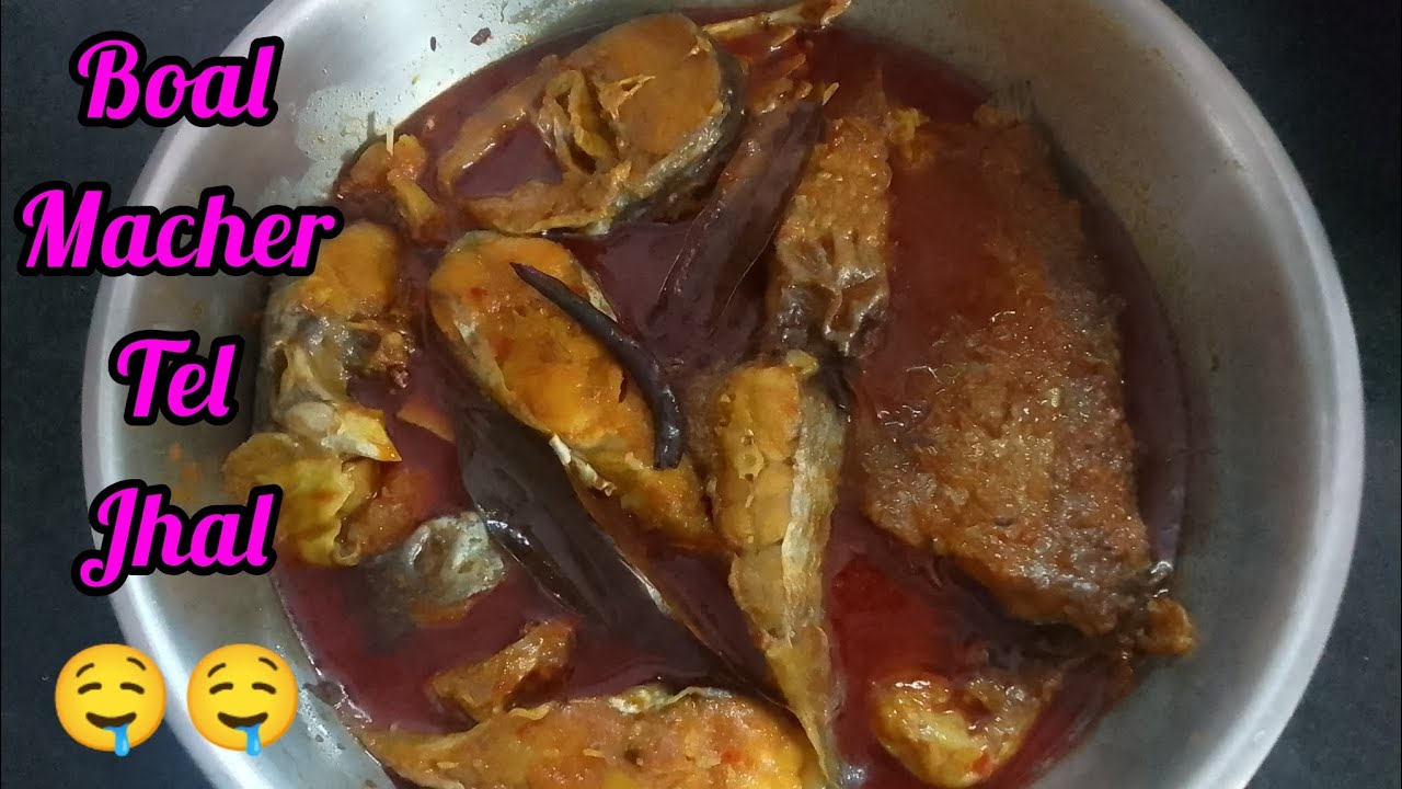 Boal macher tel jhal/boal macher rasa(boal fish curry bengali recipe ...