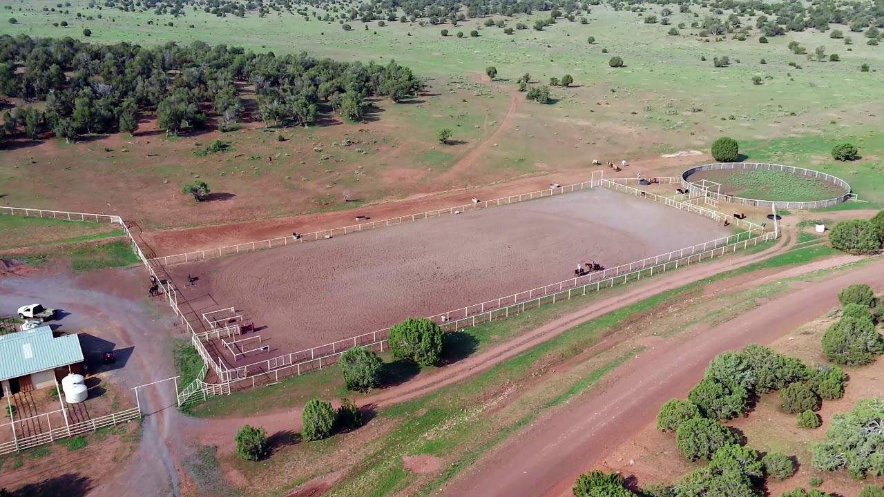 Oden Cattle Co. - Freeman Ranch - YouTube