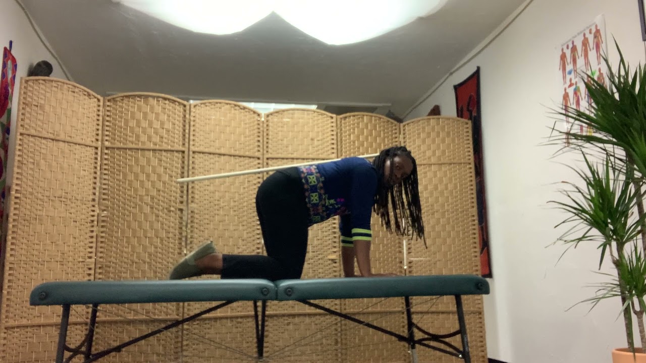 TVA Activation in Quadruped - YouTube