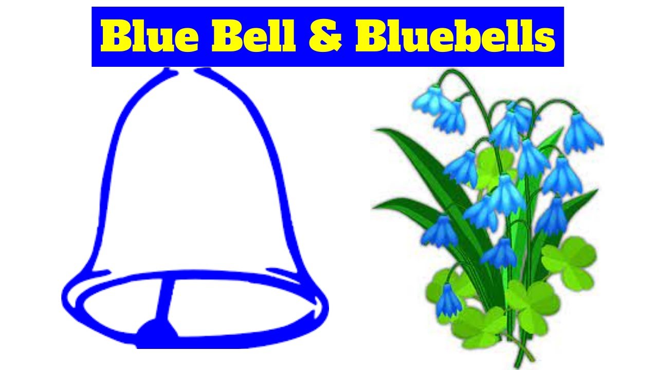 The Blue Bell & Bluebell Walk - YouTube