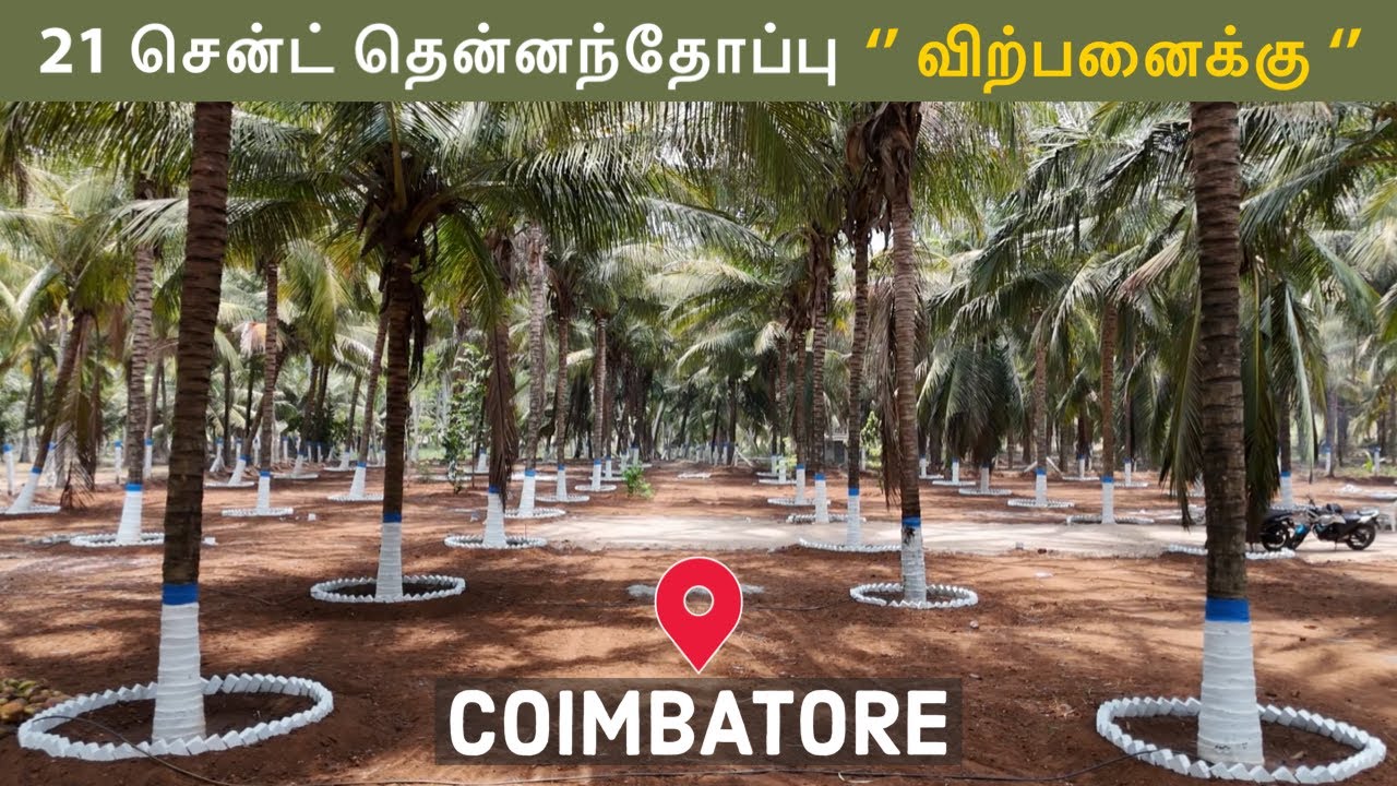 🌴 தென்னந்தோப்பு விற்பனைக்கு 🌴 | Coconut farm land for sale in ...