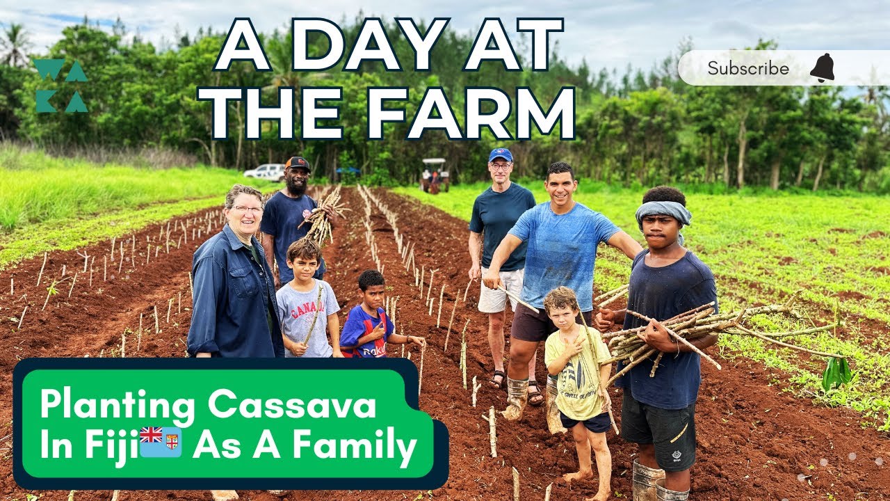 Planting Cassava In Fiji As A Family_VLOG 123 - YouTube