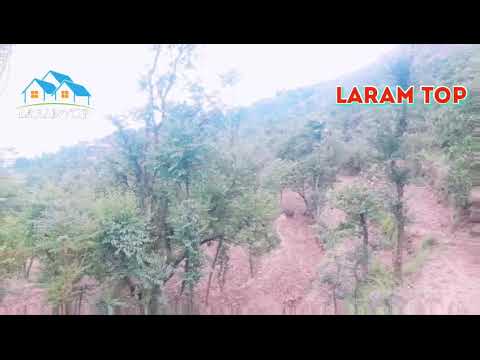 Laram top official - YouTube