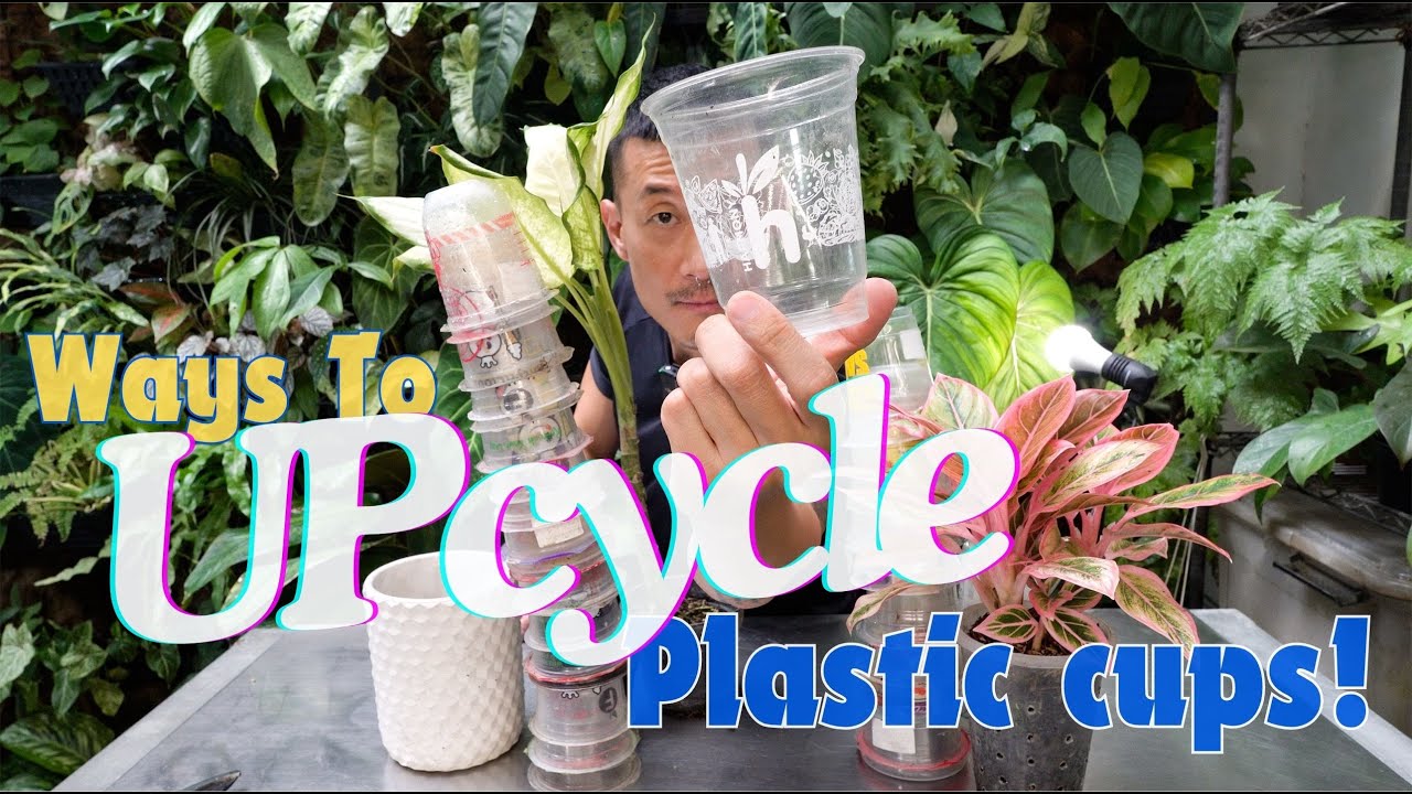 SMART Hacks For Used-Plastic Cups! (For Better Environment and HAPPY ...