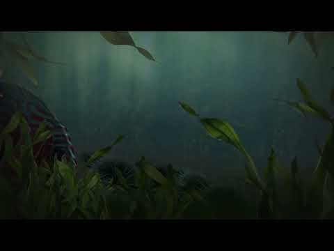 Whatsapp Status Fish Nature