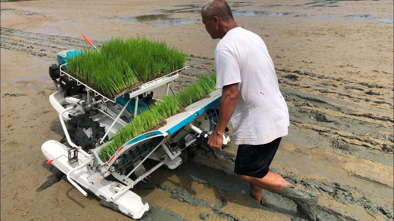 Kubota Walk-Behind Rice Transplanter SPW48-C - YouTube