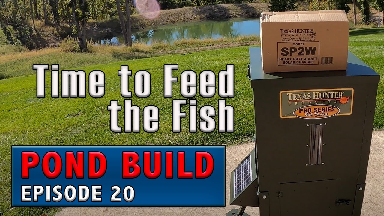 Texas Hunter Fish Feeder Installation - 70 LB Model in New Fishing Pond ...